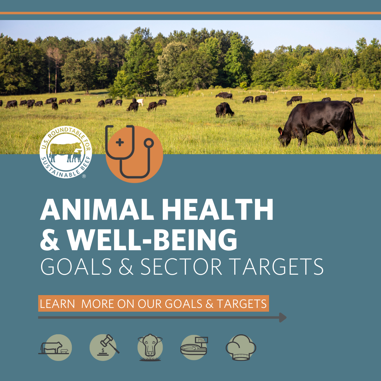 State and breed affiliate resources